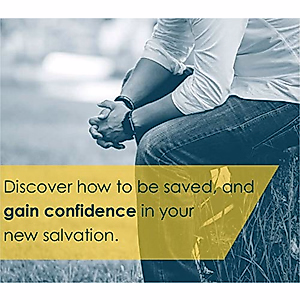 New Believer's Bible NLT (Softcover): First Steps for New Christians