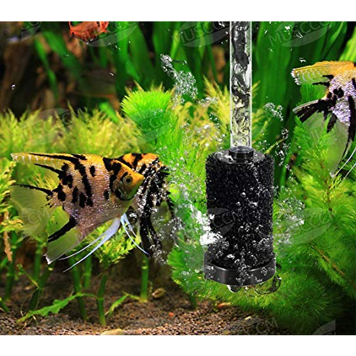 muscccm for Polaris Pool Cleaner Parts, 12 Pack Sweep Hose Tail Scrubbers Replacement for Sweep Pool Cleaner Fits Polaris 180 280 360 380 480 3900, Polaris Pool Cleaner Backup Filter Parts