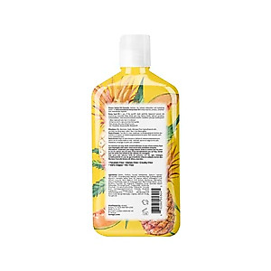 HEMPZ PETZ Dog Shampoo Wash - Sweet Pineapple & Honey Melon - Pet Limited Edition Hypoallergenic, Moisturizing for Itch Relief for Dry, Sensitive & Allergy Prone Skin - 17 fl oz
