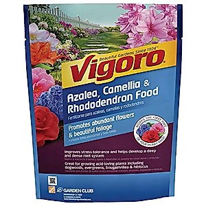 Vigoro 3.5 lb. Azalea, Camellia and Rhododendron Plant Food