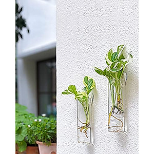 Ivolador 4PCS Wall Hanging Glass Plant Terrarium Container Cylinder Shape Perfect for Propagating Hydroponic Plants Home Office Garden Decor Wedding