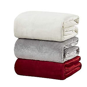 Cozy Fleece Super Soft and Plush Flannel Fleece Blanket, Ivory, Full/Queen