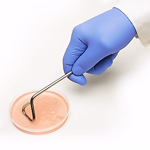 SP Bel-Art Bacterial Cell Spreader for 9cm Plates; Stainless Steel, 1.0 in. Wide Spreading Bar (F37736-0009)