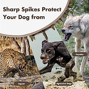 Spiked Studded Dog Collar, WANYANG Big Sharp Spike Dog Collars, Geniune Leather, Neck Protection from Bite, Adjustable, Fit Pitbull Doberman German Shepherd, for Medium Large Dogs