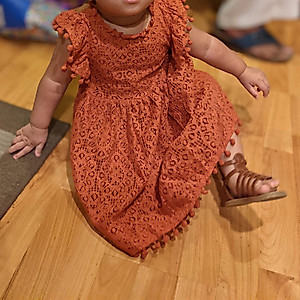 Niyage Toddler Girls Elegant Lace Pom Pom Flutter Sleeve Party Princess Dress Brick Red 100