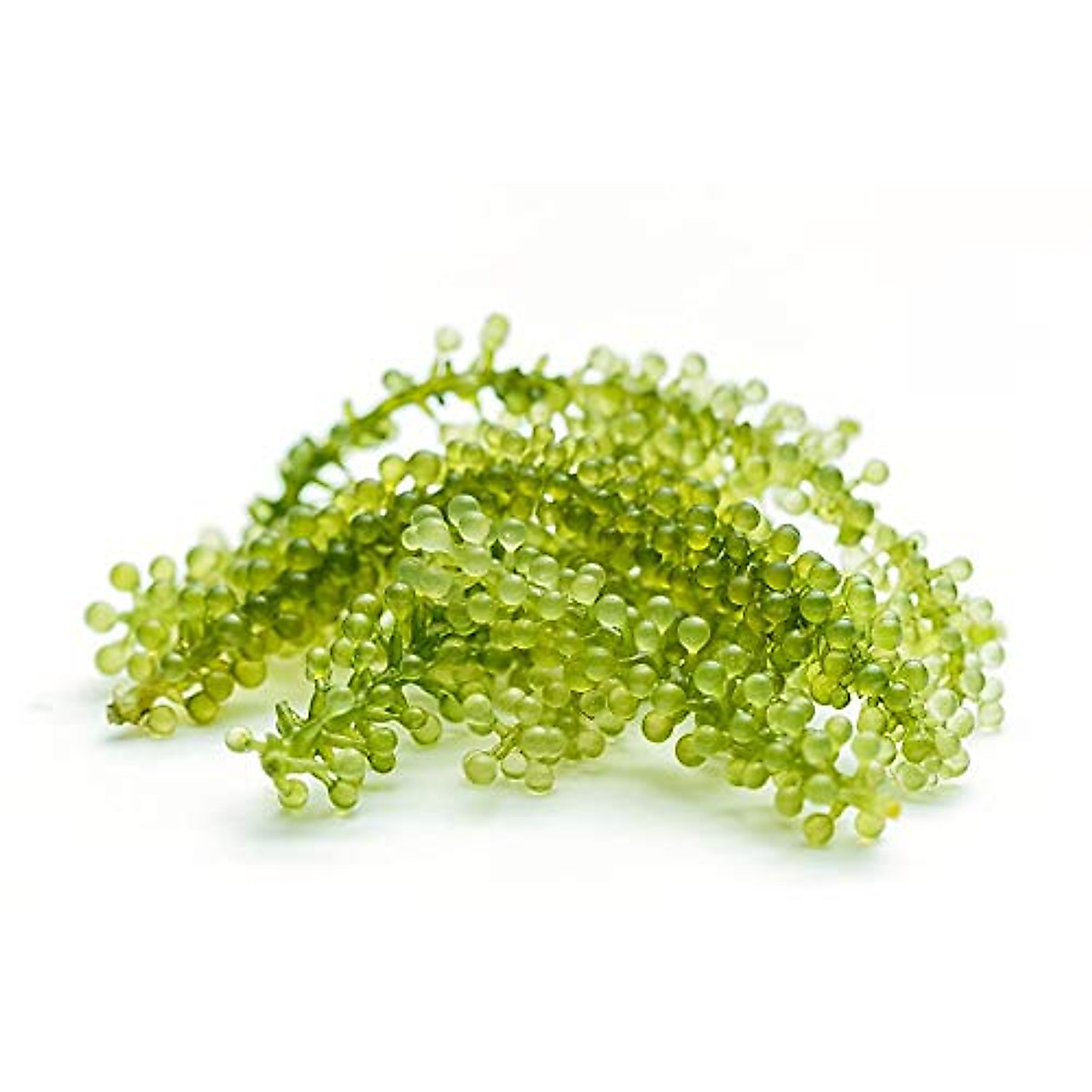 Alterna My Hair. My Canvas. New Beginnings Exfoliating Cleanser, 0.85 Fl Oz