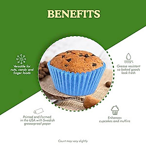 Regency Wraps Standard Baking Cups Greaseproof Professional Grade For Cupcakes and Muffins, Light Blue Solid, Pack of 40