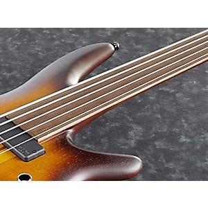 Ibanez SR Bass Workshop 5-String Electric Bass (Brown Burst Flat)