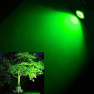 Pack of 2, Youngine 12V Low Voltage LED Landscape Lights Waterproof Outdoor Walls Trees Flags Spotlights 5W COB Garden Yard Path Lawn Light with Spike Stand (Green),NO Plug