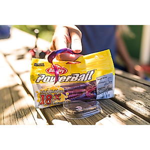 Berkley PowerBait® Power Worm Fishing Bait, Cherryseed, 7in | 18cm, Irresistible Flavor, Classic Curly Tail Worm Profile, Ideal for Spring, Summer and Fall Fishing