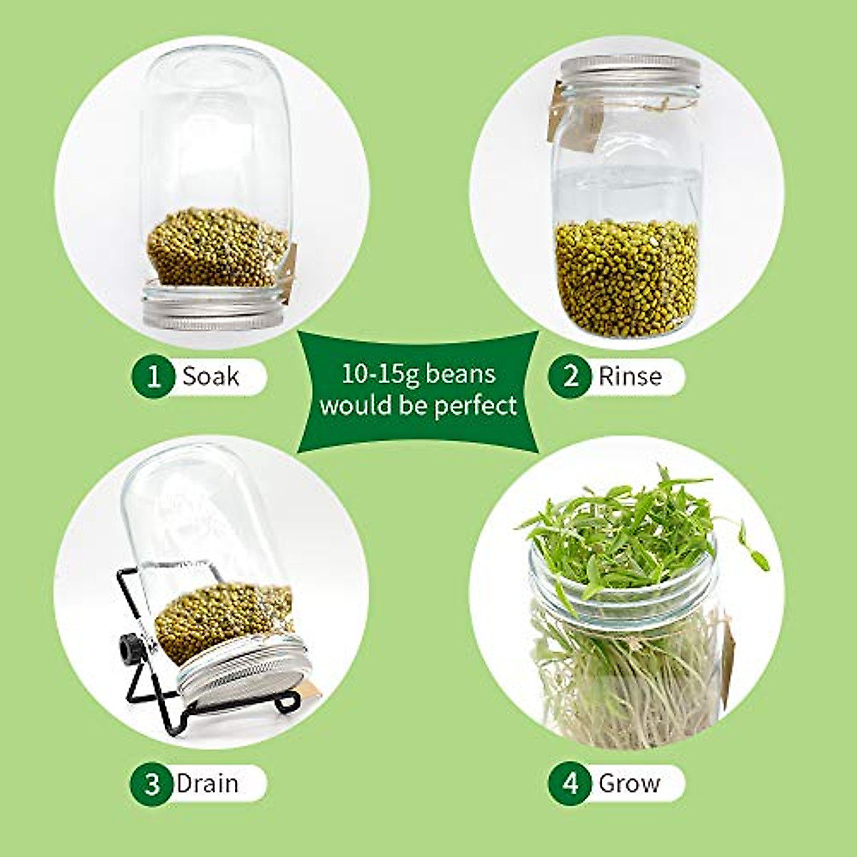 LIVEBAY Sprouting Jar Kit Stainless Steel Kitchen Sprouting Lids and Stands Seed Sprouter Set Organic Healthy Fresh 1L Wide Mouth Mason Jar for Broccoli, Alfalfa, Mung Beans