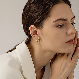 Ritach 925 Sterling Silver Small Huggie Hoop Earrings for Women Trendy 14K Gold Plated Chain Hoop Flower Dangle Drop Earrings