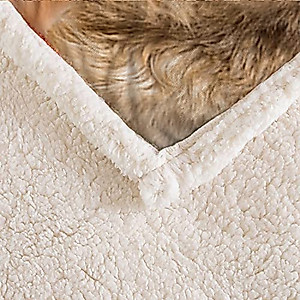AILONEN Dog Blanket for Kids Adults, Animal Cute Puppy Plush Blanket, Double Sided Fabric Lamb Wool Flannel Sherpa Throw Blanket(Golden Retriever,Throw, 47 x31 Inches)