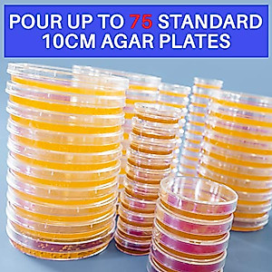 Sabouraud Dextrose Agar Powder 100grams - Evviva Sciences - Make Up to 75 Agar Petri Dishes - Premium Performance - Excellent for Mold & Fungus - Great for Mushrooms & Science Projects