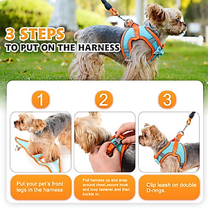WOCUME Dog Harness with Leash Set, Step-in Breathable Puppy Cat Dog Vest Harnesses, No Pull Adjustable Reflective Puppy Harness with Soft Padded Vest for Extra-Small/Small Medium Large Dogs and Cats