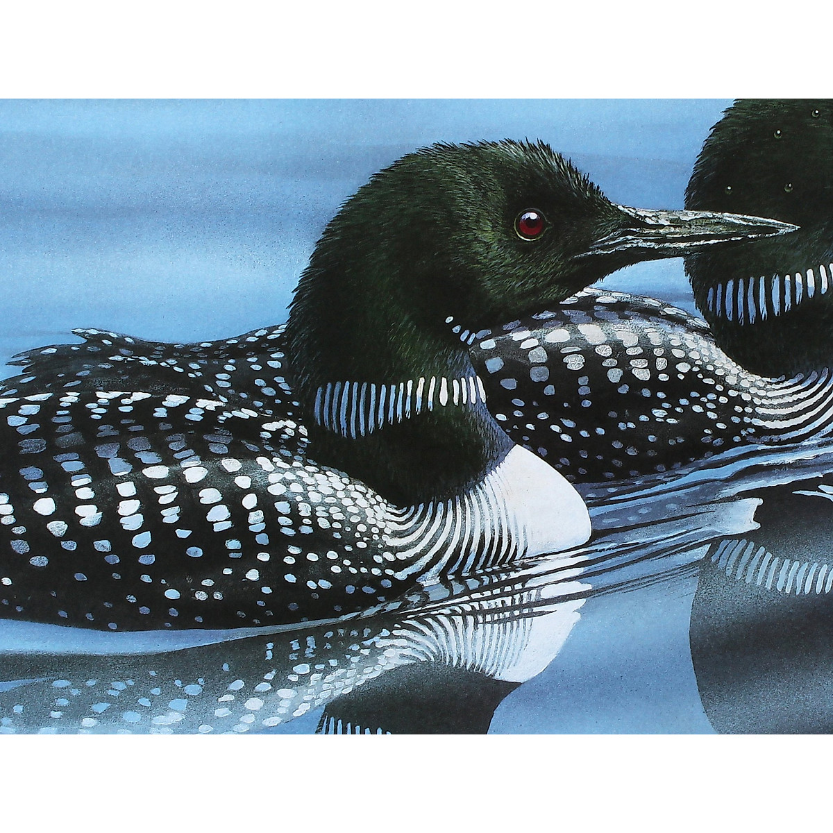 Loons Loon pair Artist Proof Signed Limited Edition Print from an original painting by Lawrence Dyer Signed Wildlife Bird Art Gift 19" x 13"