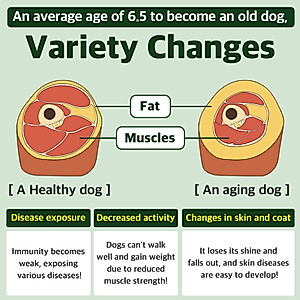 Doctor By Colostrum Protein for Dogs and Puppy – Weight Gain Supplement for Dog - Muscular Strength and Immune System Support with Colostrum, Whey Protein Isolate, Goat Milk – 30 Tubes
