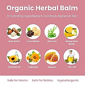 Organic Nipple Cream for Breastfeeding Mothers | Lanolin Free Nipple Butter, Safe for Nursing Moms & Babies | No Need to Wash Balm for Dry Skin & Breast Feeding, Breastfeeding Essentials (2 Pack)