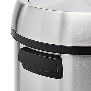 Amazon Basics Round Stainless Steel Trash Can with Swing lid - 65 Liter