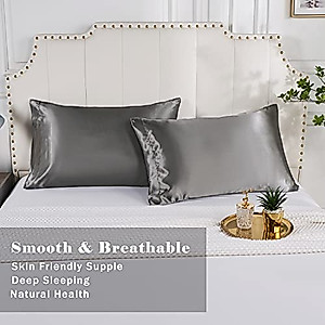 FOX-TECH Satin Pillowcase for Hair and Skin Set of 2, Super Soft and Smooth Pillowcase with Envelope Closure, Silk Pillow Case Queen 2 Pack, 20” x 30” (Dark Grey)
