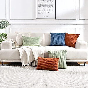 Fancy Homi 2 Packs Rust Decorative Throw Pillow Covers 18x18 Inch for Couch Bed Sofa, Modern Farmhouse Boho Home Decor, Soft Cute Plush Corduroy Cushion Case 45x45 CM