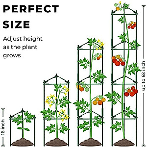 K-Brands Tomato Cage – Premium Tomato Plant Stakes Support Cages Trellis for Garden and Pots (Upto 68 Inches Tall)