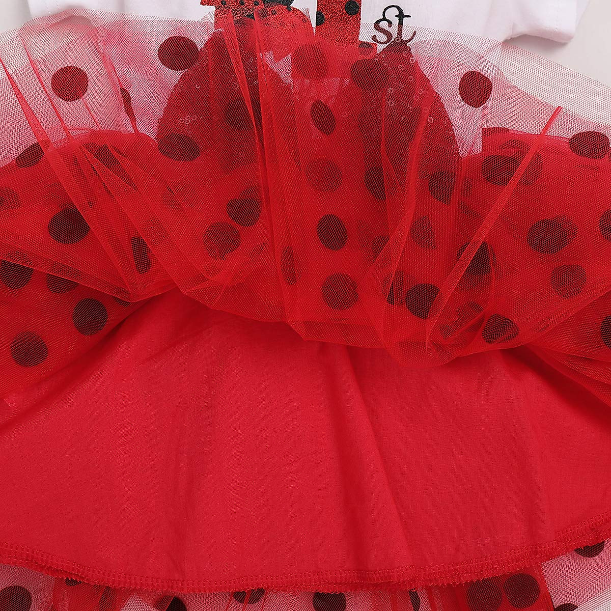 It’s My 1st/2nd Birthday Outfit Toddler Baby Girl ONE Party Tutu Dress for Kids Half/First Onesie Crown Infant Skirt Sets for Photo Props Costume Ladybug-My 1st Birthday 1Y
