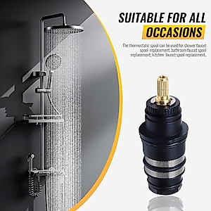 Thermostatic Shower Cartridge Replacement Parts Kit Compatible with Hansgrohe 98282000, Shower Bathroom Faucet Thermostatic Filter Vavle Core Chrome