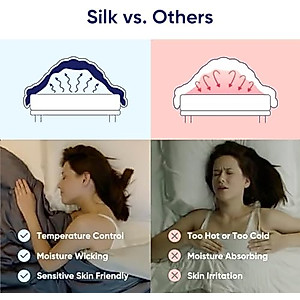 Vesta Washable Silk Lightweight Comforter, Cooling Blanket for Hot Sleepers, 100% Long Staple Mulberry Silk, Moisture & Thermal Control for Summer Use, Queen Size, Zen Purple