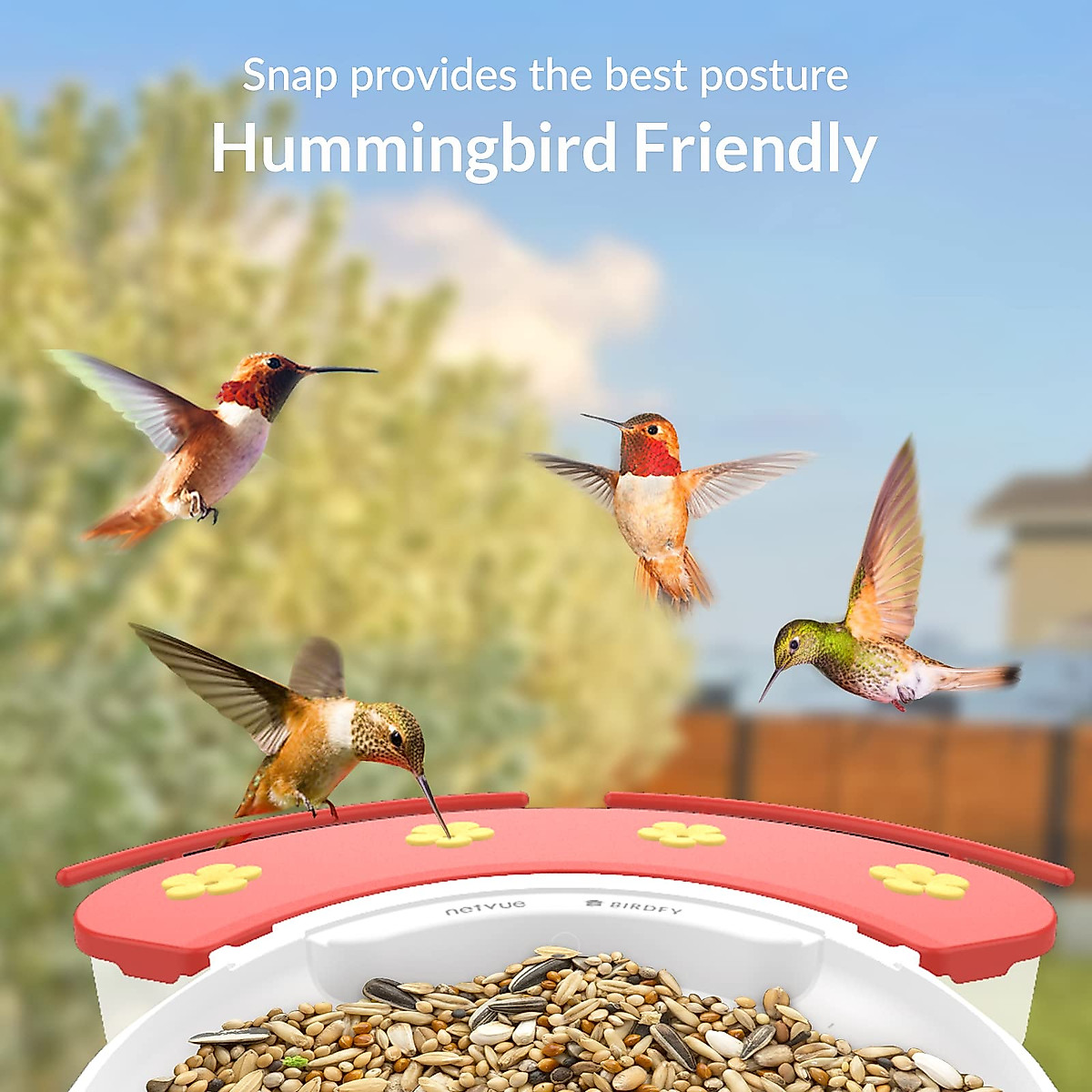 NETVUE Birdfy Hummee - Hummingbird Feeder Perch, Compatible with Birdfy, Attract Hummingbirds, 18.3 oz Capacity, 2 in 1 Bird Feeder, Ideal Gift for Hummingbird Lovers (A Feeder)