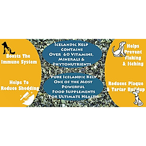 Icelandic Kelp Meal, 25lbs