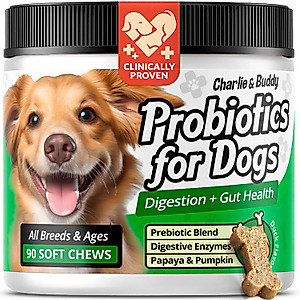 Charlie & Buddy Pet Probiotics for Dogs Aid Gut Flora, Dog Probiotics for Digestive Health with Digestive Enzymes, Pumpkin, and Papaya for Upset Stomach, 90 Soft Probiotic Chews for Dogs, Duck Flavor