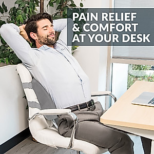 ComfiLife Lumbar Support Back Pillow Office Chair and Car Seat Cushion - Memory Foam with Adjustable Strap and Breathable 3D Mesh (Gray)