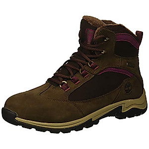 Timberland Women's MT. Maddsen Winter Waterproof Ins Hiking Boot, Dark Brown Nubuck, 9 M US
