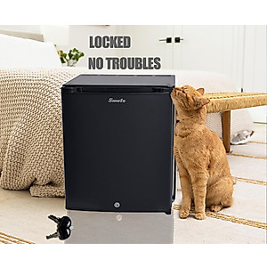 SMETA Mini Fridge with Lock for Bedroom Quiet Lockable No Noise Absorption Mini Refrigerator 12V/110V Compact Portable DC Locking Refrigerator for Office Van Medication Storage Dorm, 1.0 Cu.Ft, Black