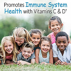 Garden of Life Dr. Formulated Probiotics Organic Kids+ Plus Vitamin C & D, Strawberry Banana, Gluten Dairy & Soy Free Immune & Digestive Health Supplement, No Added Sugar, 30 Chewables (Shelf Stable)