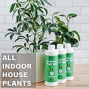 Ben's Home & Garden Everything Indoor Plant Food with Kelp | Liquid Concentrate Indoor Plant Fertilizer 3-3-3 All Purpose Plant Food for House Plants (8 Ounce)