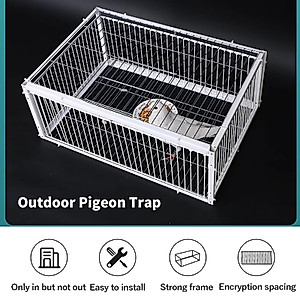 TRAGLO Chicken and Bird Trap Cage, Humane Live Animal Trap Cage with One-Way Entry Door, Metal Control Pigeon Trap with Escape-Proof Design 2CM Encryption Spacing, Easy Assembly (Size : 100x60x26cm)