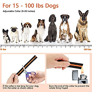 MAISOIE Dog Training Collar, IPX7 Waterproof Shock Collar with Remote Range 1300ft, 3 Training Modes, Beep, Shock, Vibration, Rechargeable Electric Shock Collar for Small Medium Large Dogs