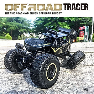 Adepe 1/8 Remote Control Car 4WD Off Road Rock Crawler rc Cars 2.4Ghz Electric Vehicle Climbing Truck Toy Gifts for 6-12years Old Kids 50cm Large