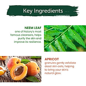 Himalaya Purifying Neem Scrub for a Deep Clean, Exfoliate and Purifies for Clean and Radiant Skin, 5.07 oz