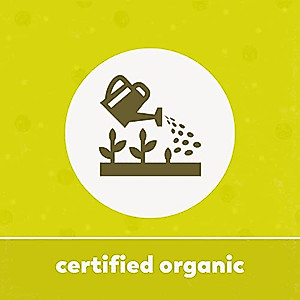 Yupik Organic Flax Seeds, Brown, 2.2 lb, Pack of 1