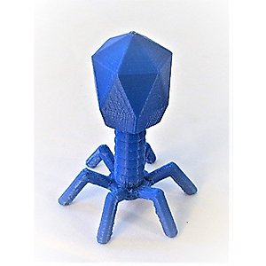 Virus Model, Bacteriophage Phage Model, Microbiology Teaching (Height 5")