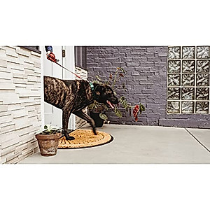 Notrax, Crescent, Rubber-Backed Natural Coir Doormat, Entry Mat for Indoor or Outdoor Use, 24"x39", C04 (C04S2439CR)