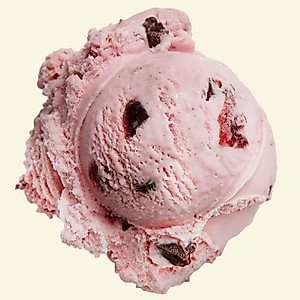 Van Leeuwen Black Cherry Chip Ice Cream 14 oz