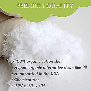 Little Sleepy Head Toddler Pillow, Organic Cotton, Down-Like Fill, Ivory 13 X 18