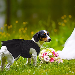QBLEEV Dog Dress, Dog Wedding Dress for Small Dogs, Bowknot Dog Wedding Attire Black Dog Dress Pet Dog Bride Costume Lace Tutu Skirt Halloween Dog Princess Dress Party Puppy Apparel Dog Formal Dress S