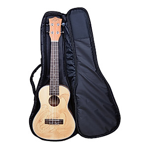 HOT SEAL 10MM Sponge Padding Waterproof Durable Colorful Conventional Ukulele Case Bag with Storage (23/24 Inch, Bohemia No.2)