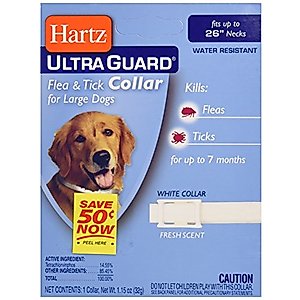 Hartz 2 In 1 Large Dog Collar