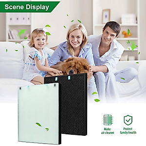 Replacement Post Filter and Carbon Pre Filter compatible for Bissell Air400, 1 Pre Filter + 1 Carbon Post Filter, Compared to Part # 2521 and 2520